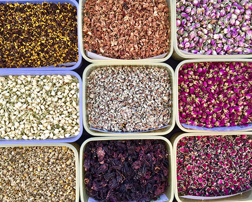 Buy Organic Flower Seeds Online India | Sams Garden Store – SamsGardenStore