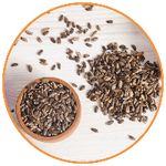 Buy Desi seeds online | Vegetable seeds, Flower seeds online, Grow Bag ...