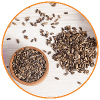 Buy Desi seeds online | Vegetable seeds, Flower seeds online, Grow Bag ...