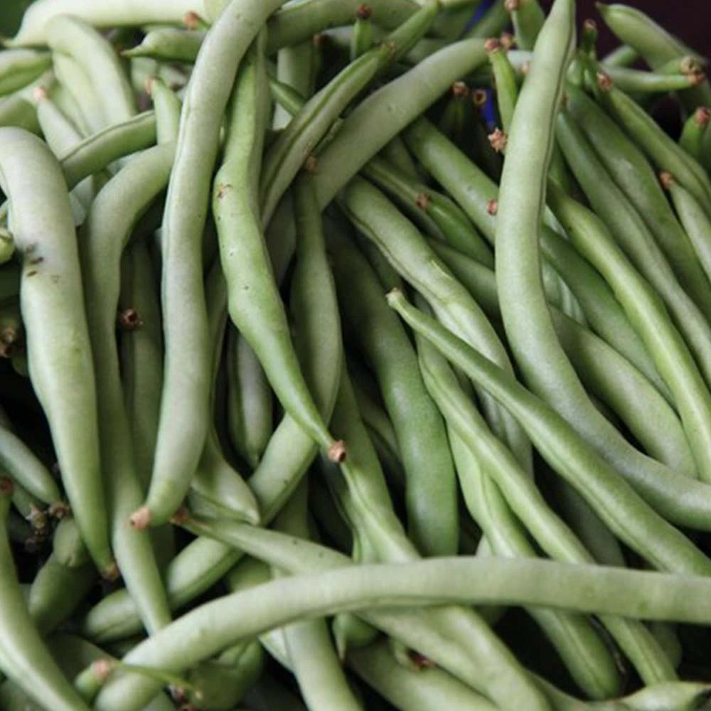 Buy French Beans Desi Vegetable Seeds (White Seeds ) ( Chikkudukaya ...