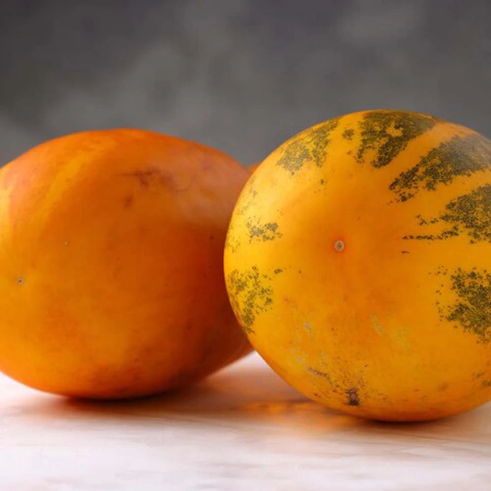 Buy Round Sambar Cucumber Seeds (Desi ) ( Dosakaya ) | Sam's Garden ...